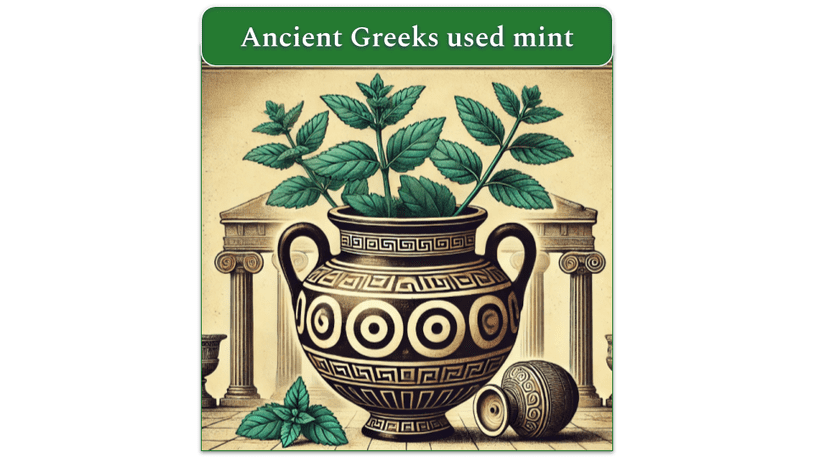 What Is Mint Tea Good for: Truths & Myths Revealed