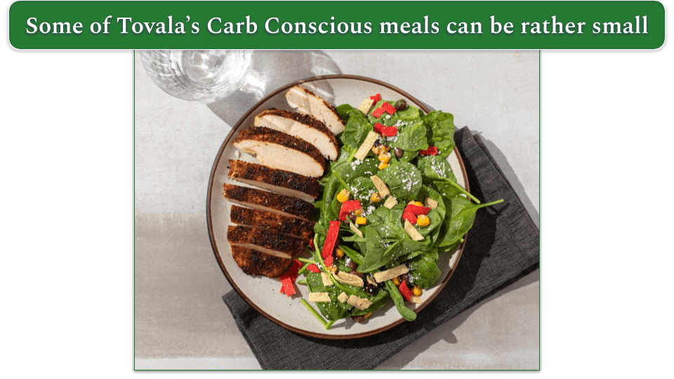 Tovala Review 2024: Is The Pricey Smart Oven Worth It?