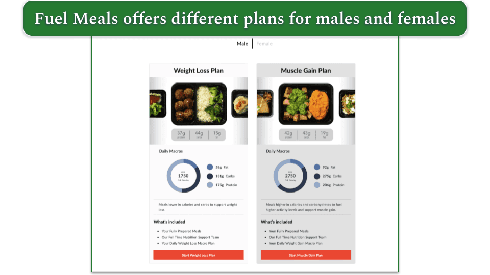 Fuel Meals Review 2024: Is It the Best Option?