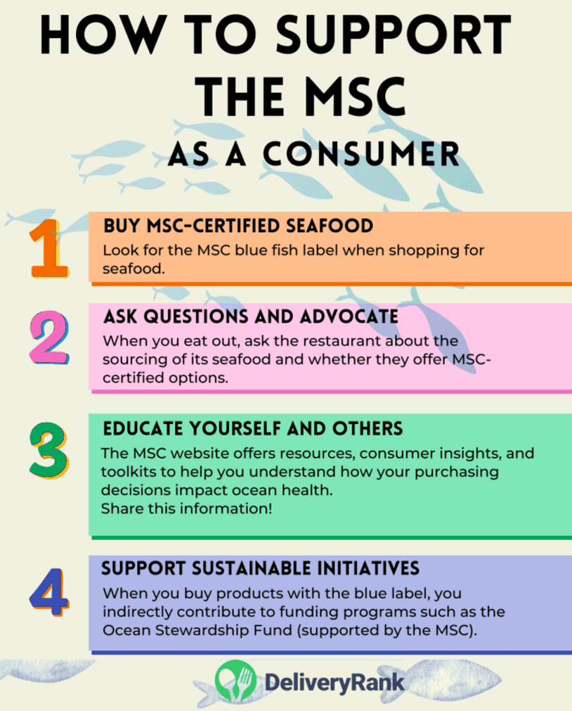 What Is MSC Certified: Guide to Sustainable Fishing