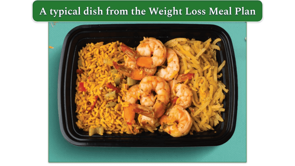 Jet Fuel Meals Review 2024: Find Your Ideal Plan